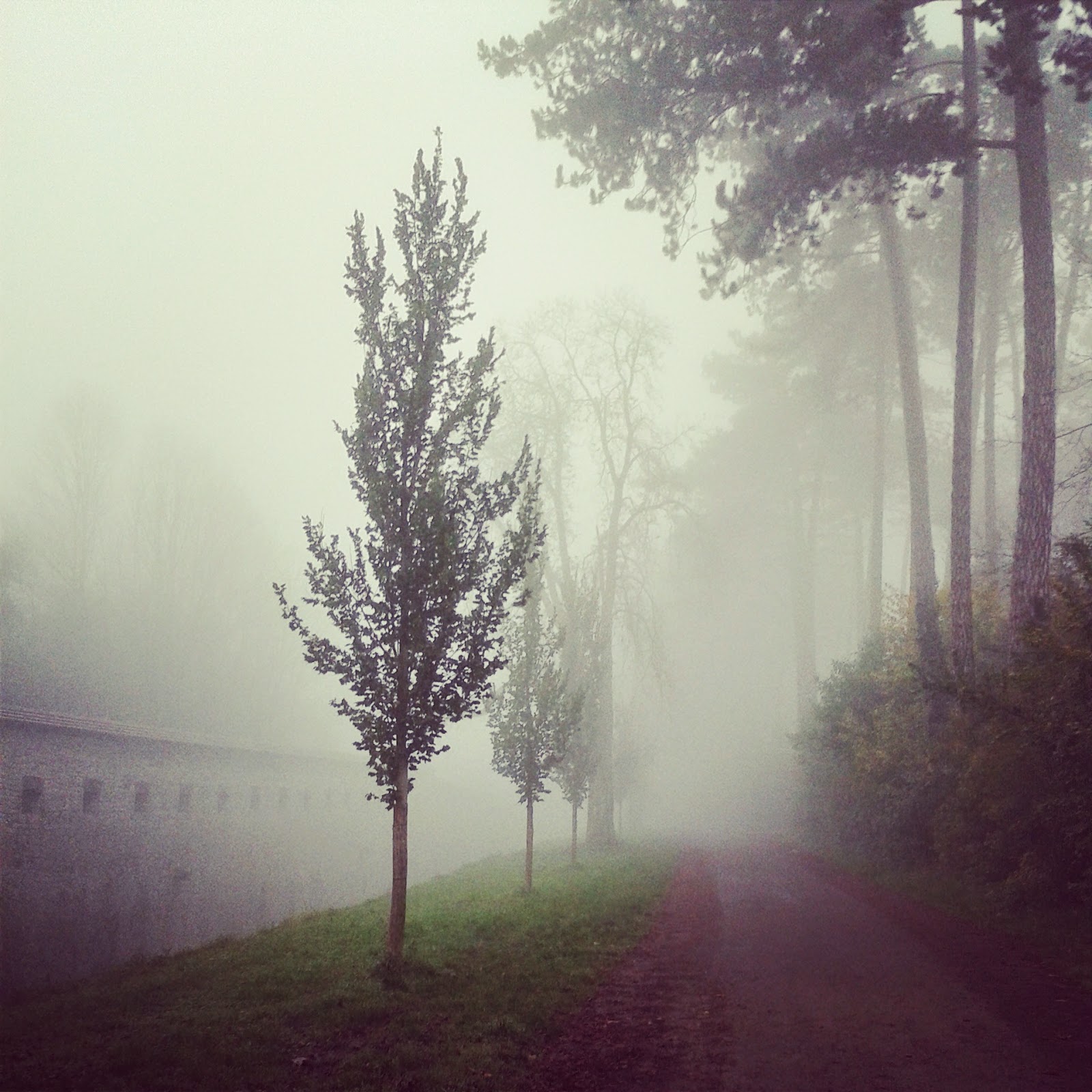 Westlins: ULM ... die Hauptstadt des Nebelreiches!